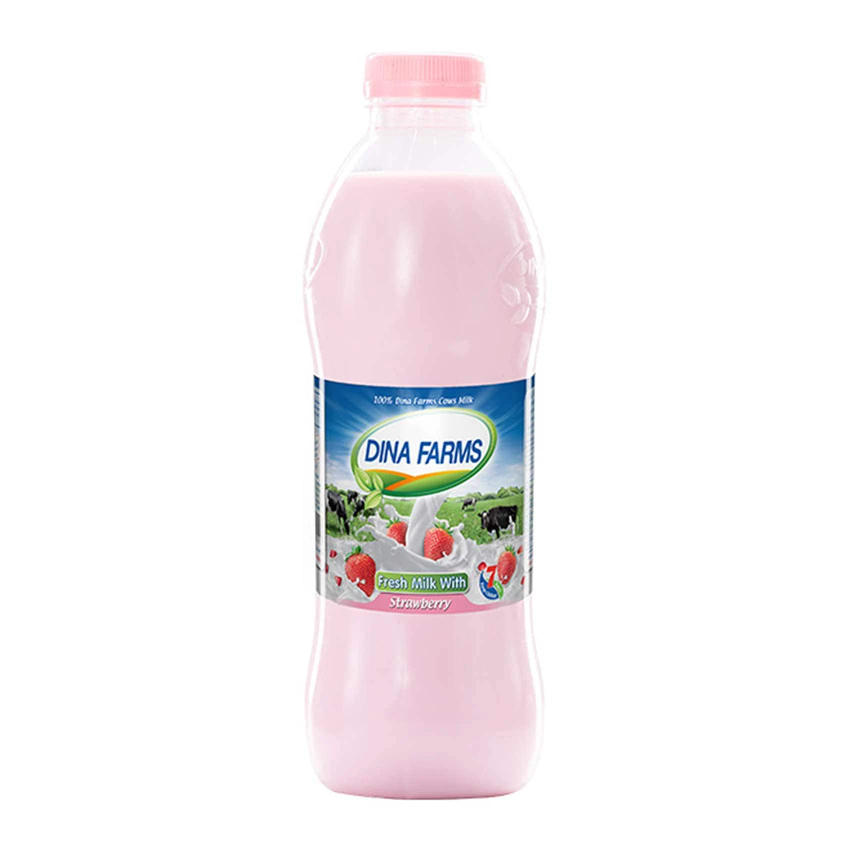 Dina Farms Logo Dina Farms Labneh – 250 Gr