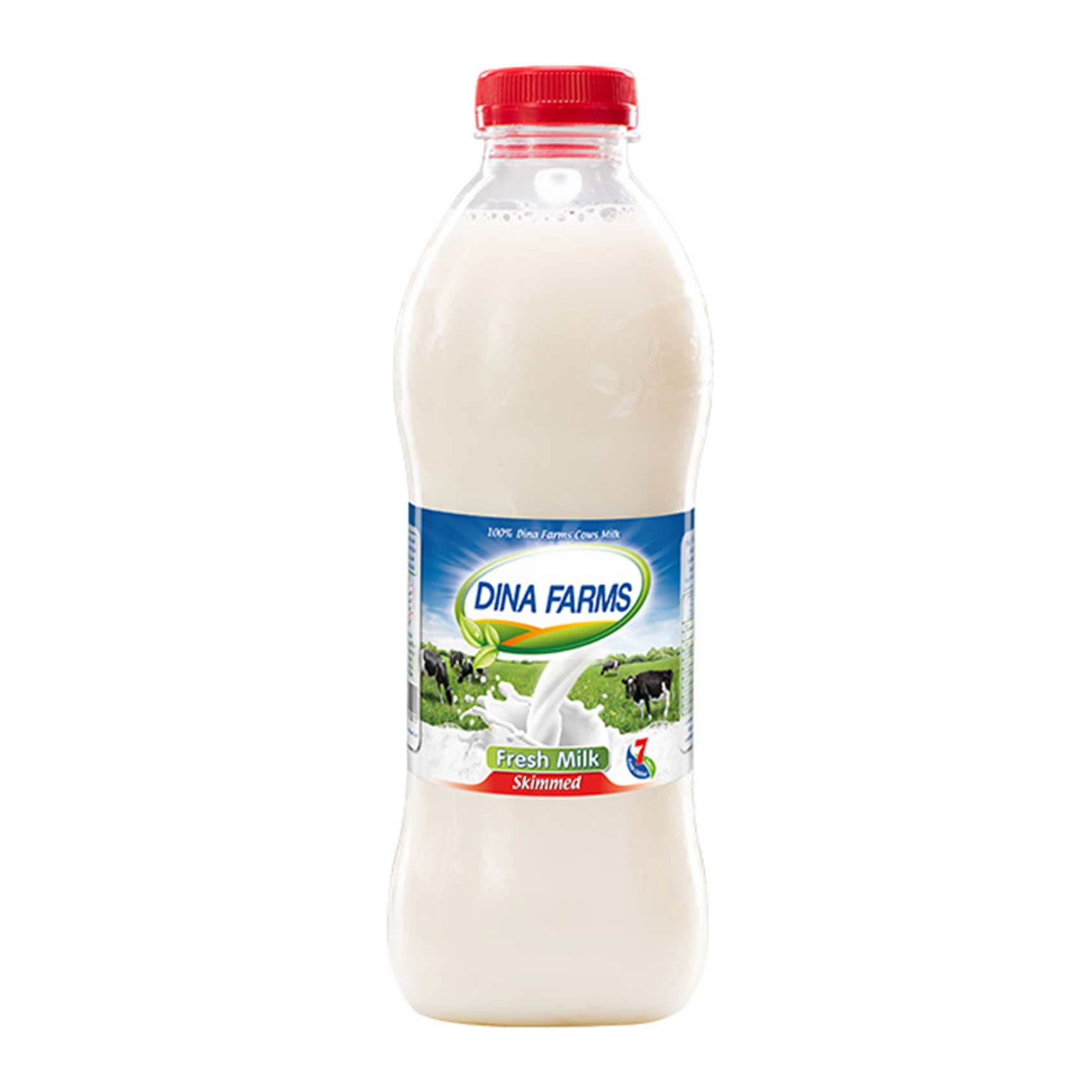 Dina Farms Logo Dina Farms Labneh – 250 Gr